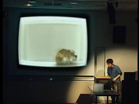 Carlitopolis | Neave.TV Wiki | Fandom