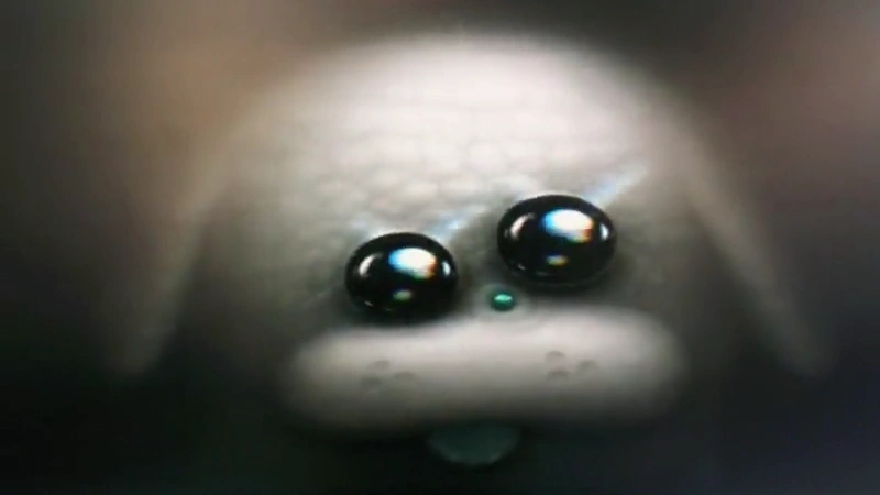 Weird Dog | Neave.TV Wiki | Fandom