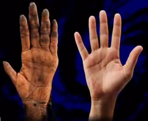 Ernest Cline: Dance, Monkeys, Dance | Neave.TV Wiki | Fandom