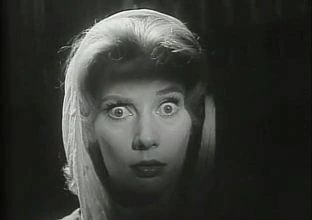 Carnival | Neave.TV Wiki | Fandom