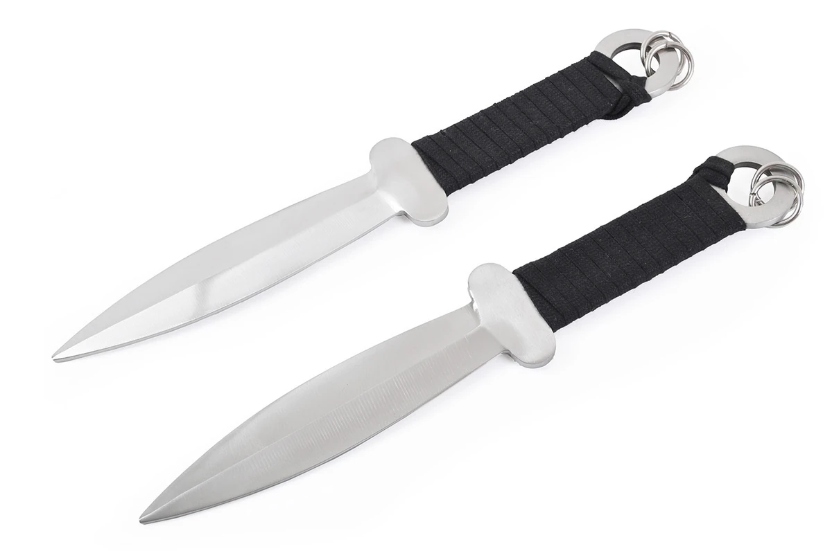 Assassin's twin daggers | Necromancers Wiki | Fandom