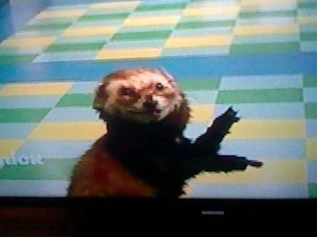 The Weasel | Ned's Declassified School Survival Guide Wiki | Fandom