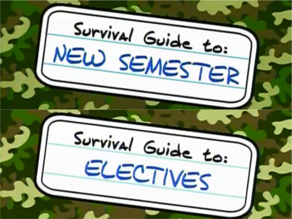 Guide to: The New Semester and Electives | Ned's Declassified School ...