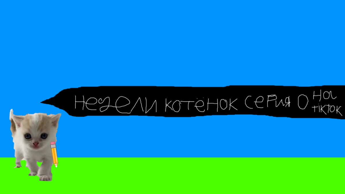 Недели котёнок Серия 0 Недели котёнок Вики Fandom