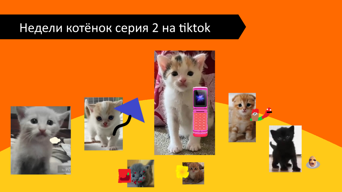 Недели котёнок Серия 2 Недели котёнок Вики Fandom