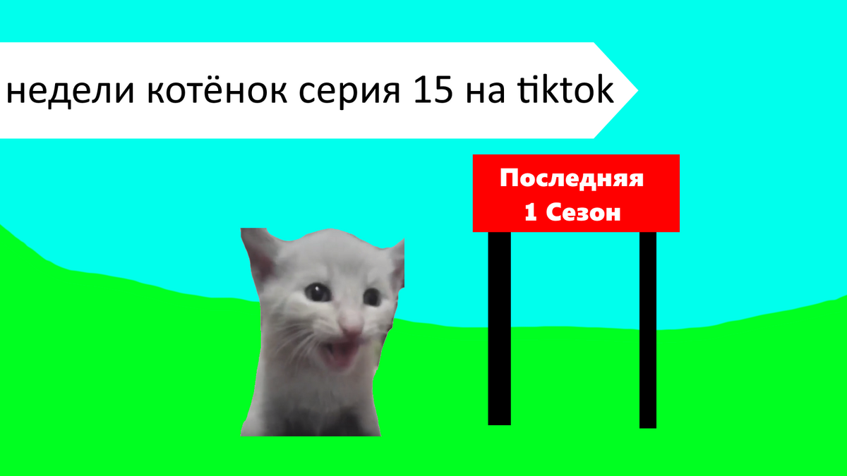 Недели котёнок Серия 15 Недели котёнок Вики Fandom