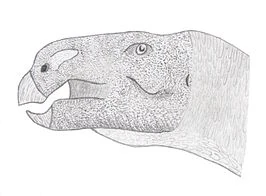Acristavus | Dinosaurussen Wiki | Fandom