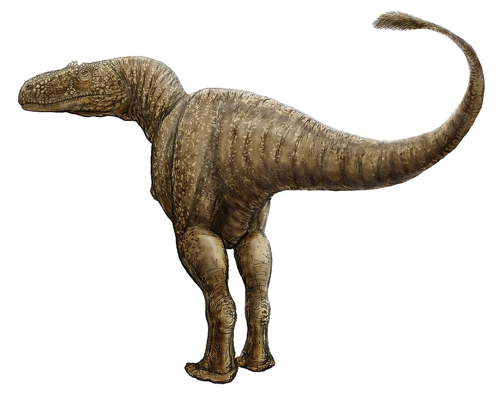 Condorraptor | Dinosaurussen Wiki | Fandom