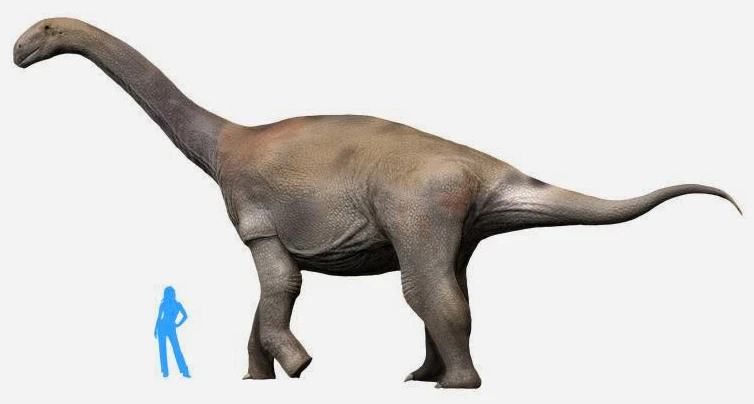 Zby | Dinosaurussen Wiki | Fandom