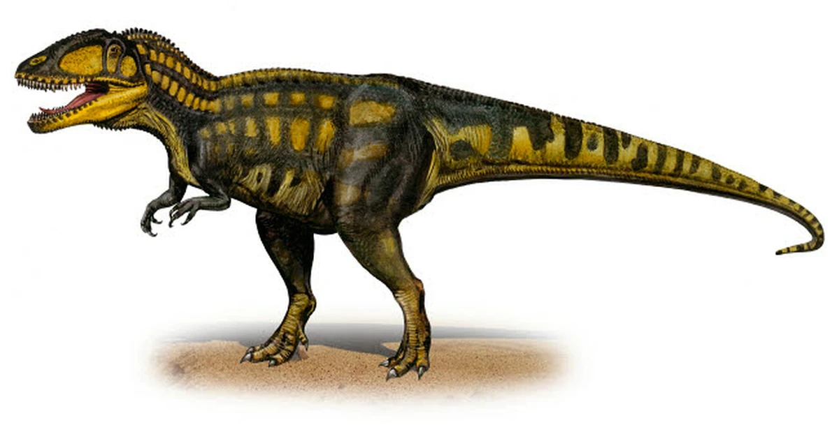 Charcharodontosaurus | Dinosaurussen Wiki | Fandom