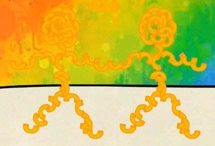 Monos de macarrones | Wiki Negas | Fandom