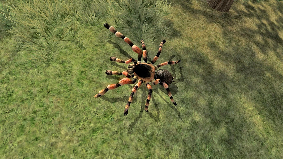Tarantula | Nehrim Wiki | Fandom
