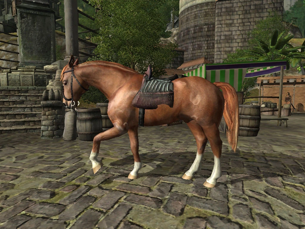 Chestnut Horse | Nehrim Wiki | Fandom