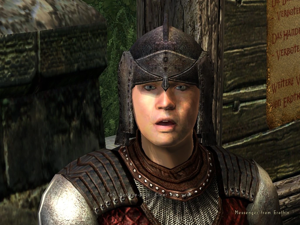 Messenger from Erothin | Nehrim Wiki | Fandom