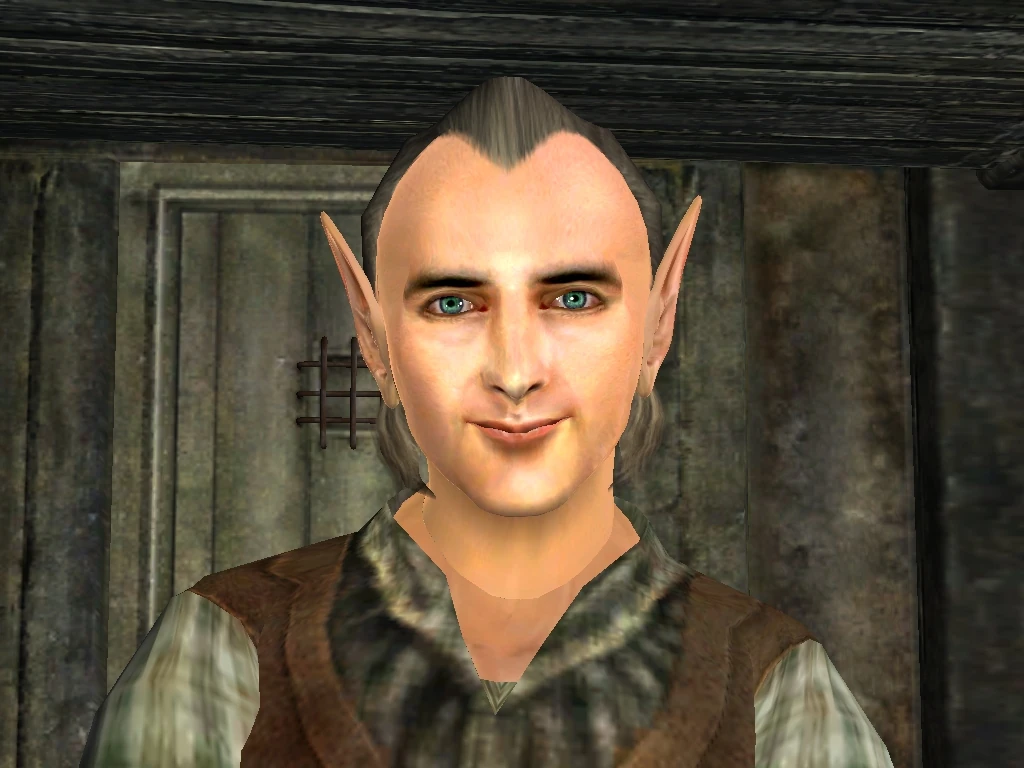 Dealer Rudor | Nehrim Wiki | Fandom