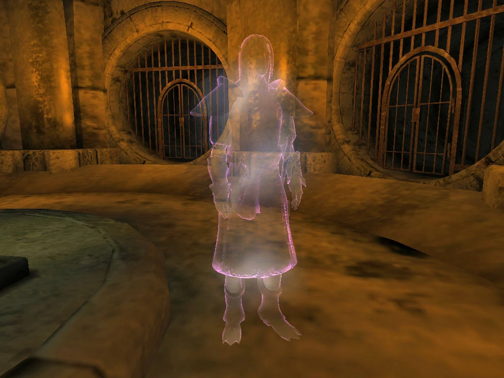 Mage Guard | Nehrim Wiki | Fandom