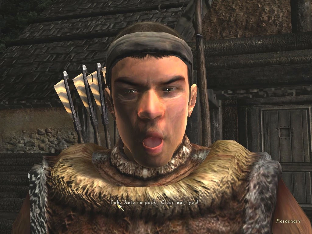 Mercenary (Sildren) | Nehrim Wiki | Fandom