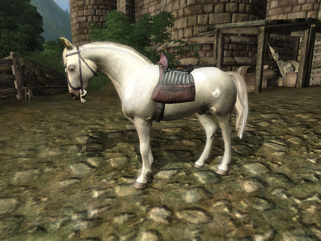 My White Horse | Nehrim Wiki | Fandom