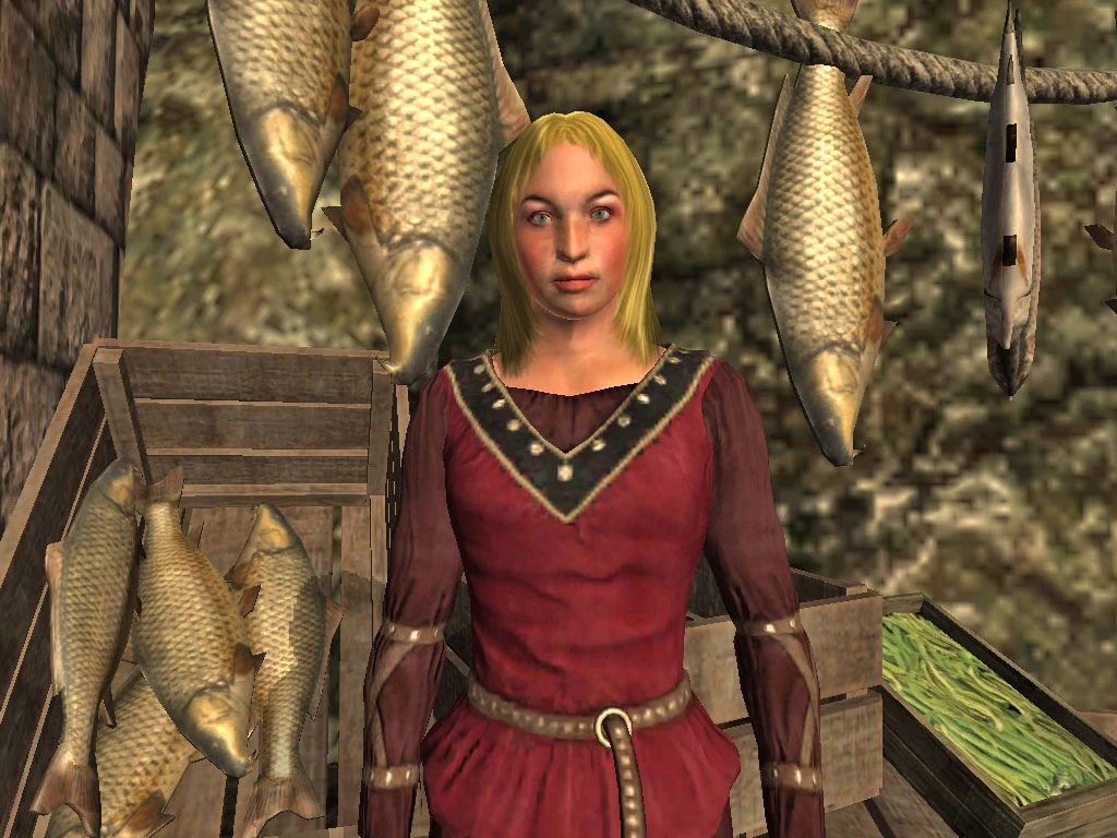 Merchant Anolia | Nehrim Wiki | Fandom