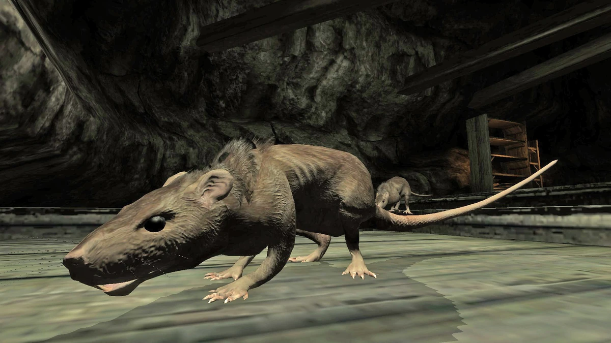 Canal Rat | Nehrim Wiki | Fandom