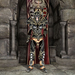 Armor of the Fallen Shadow God | Nehrim Wiki | Fandom