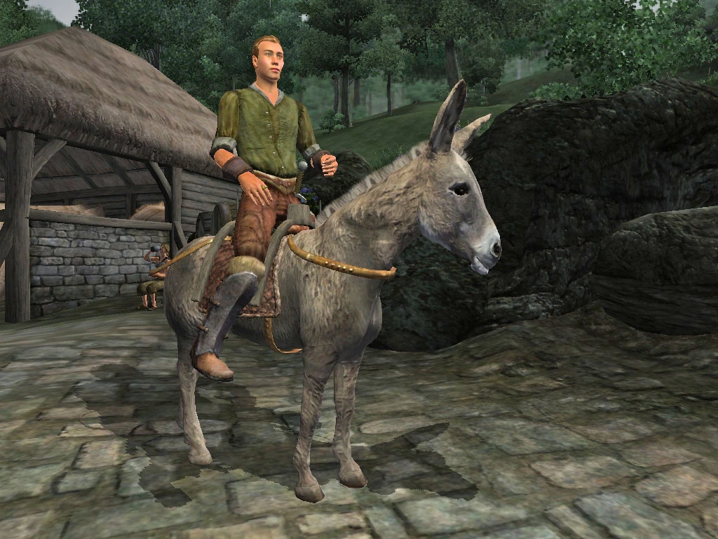 Traveling Dealer | Nehrim Wiki | Fandom