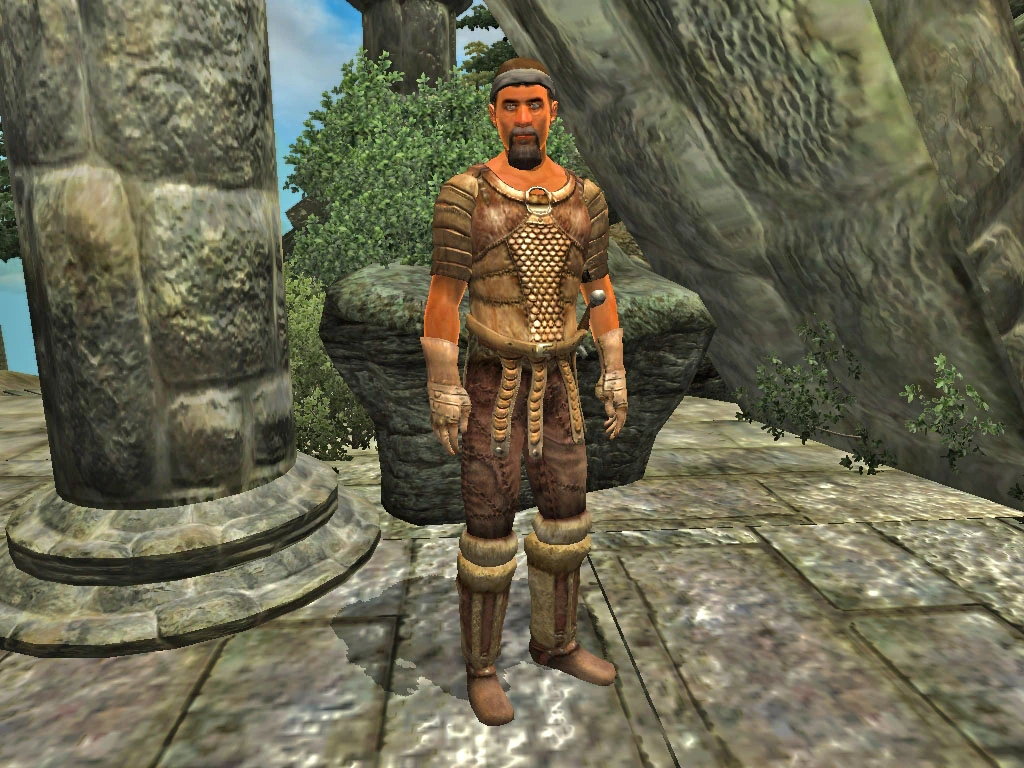 Adventurer | Nehrim Wiki | Fandom