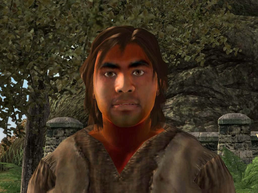 Servant Arrhen | Nehrim Wiki | Fandom