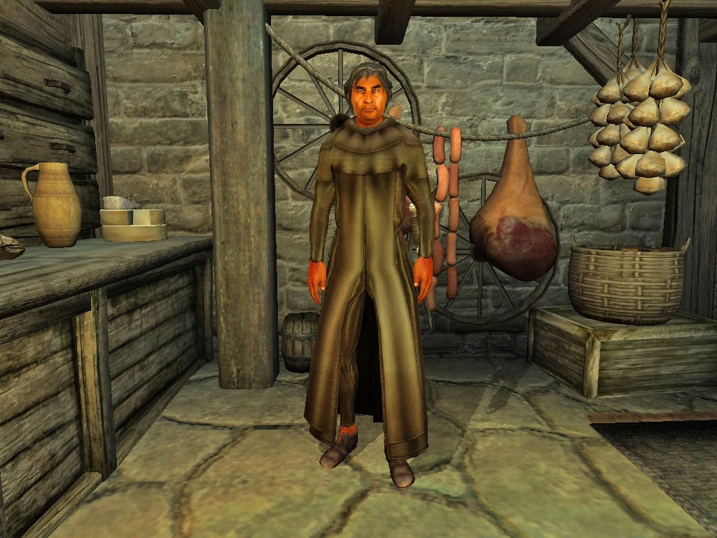 Werner Frayer | Nehrim Wiki | Fandom