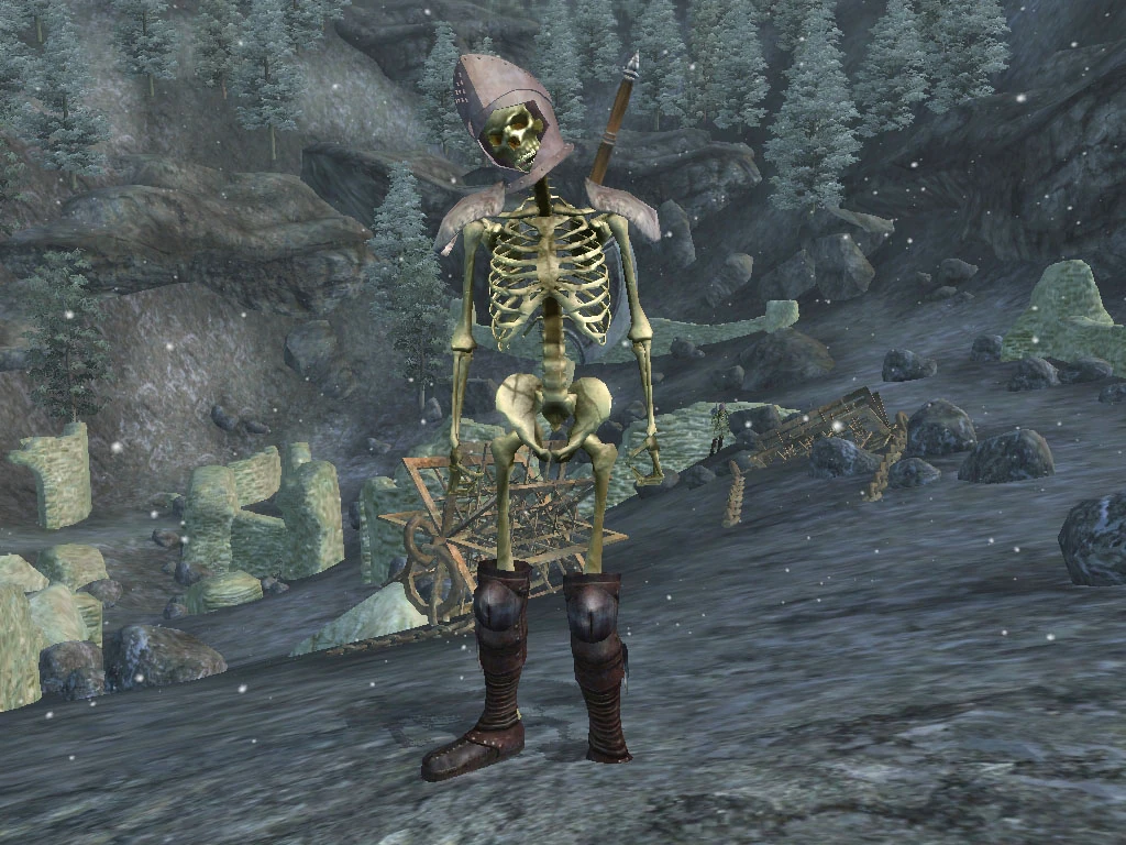 North Skeleton | Nehrim Wiki | Fandom