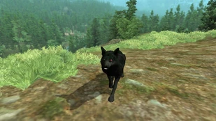 Senile Shadow Wolf | Nehrim Wiki | Fandom