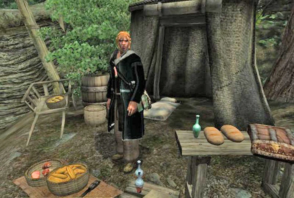 Heinrich | Nehrim Wiki | Fandom