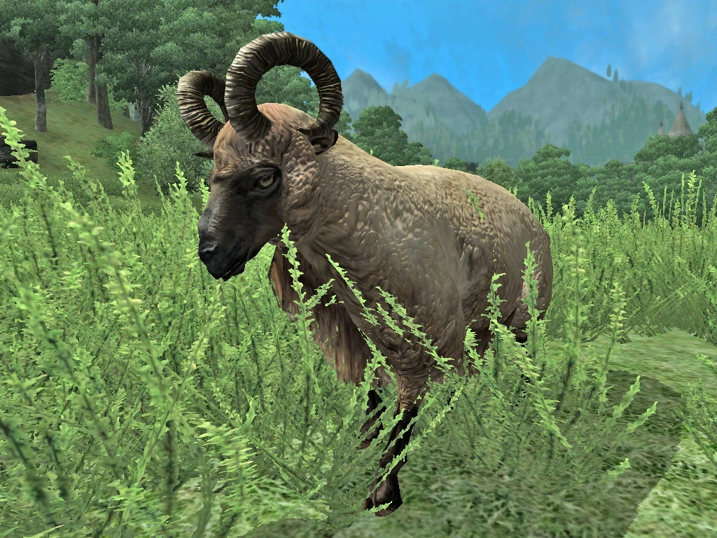 Ram | Nehrim Wiki | Fandom