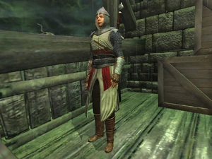 Palace Guard | Nehrim Wiki | Fandom