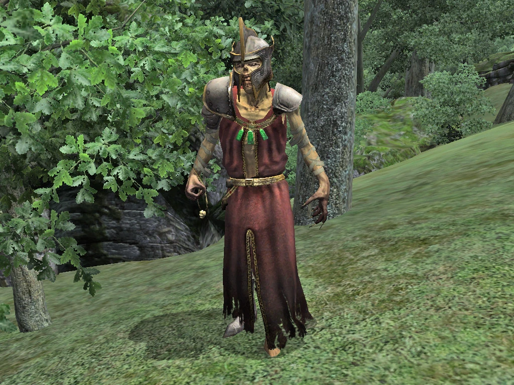 Awakened Priest | Nehrim Wiki | Fandom