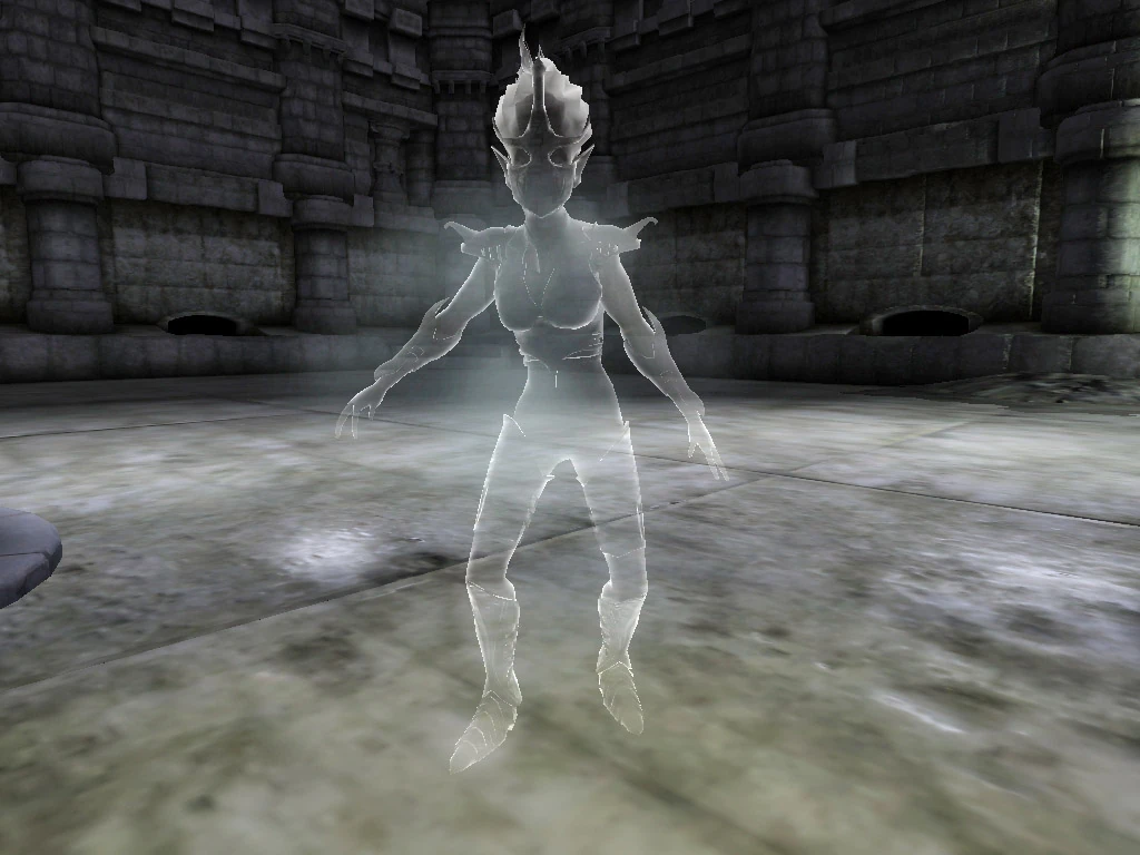 Arcane Guard | Nehrim Wiki | Fandom