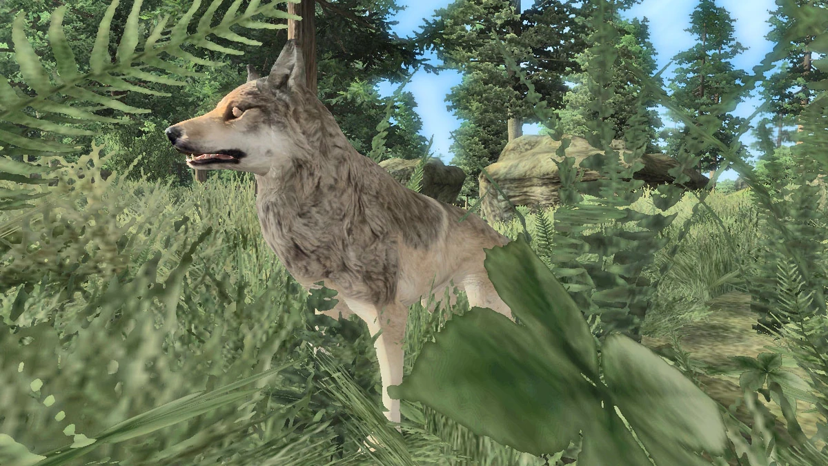 Wolves | Nehrim Wiki | Fandom