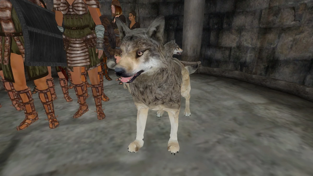 Trained Wolf | Nehrim Wiki | Fandom