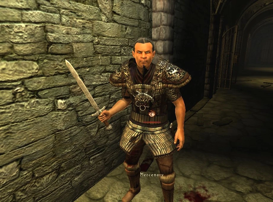 Mercenary (hostile) | Nehrim Wiki | Fandom