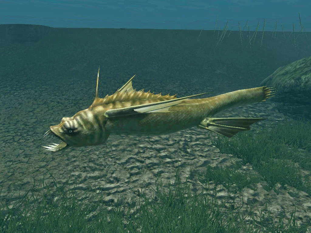 Slaughterfish | Nehrim Wiki | Fandom