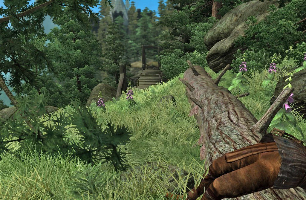 Old Border Watch | Nehrim Wiki | Fandom