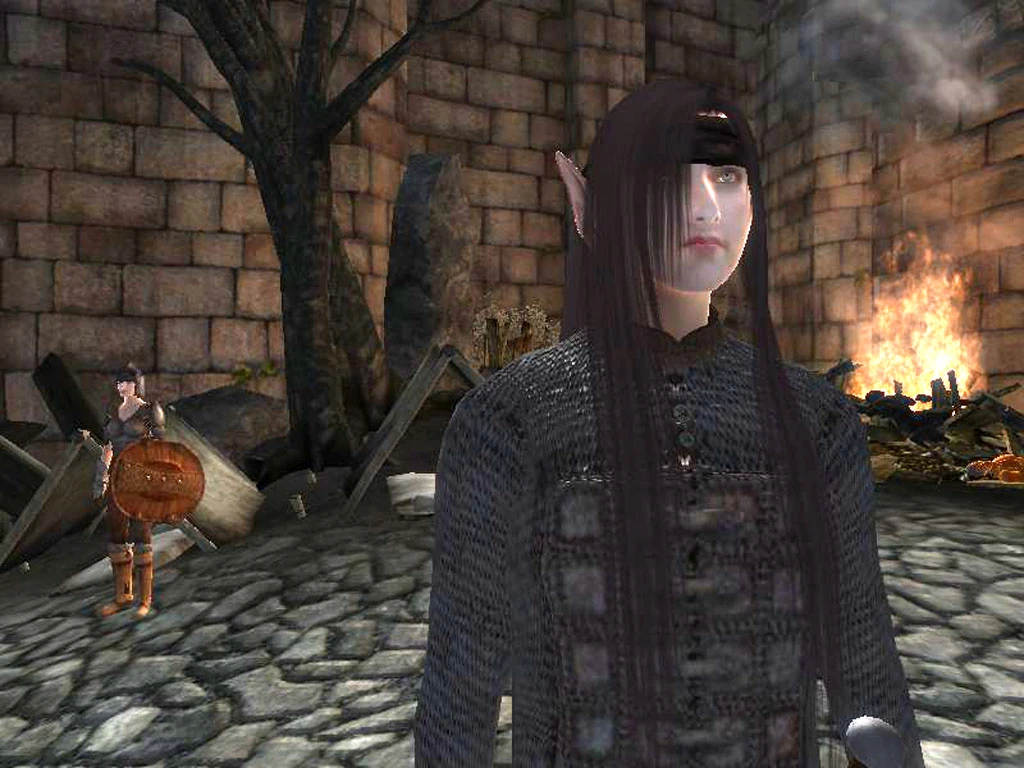 Aeterna Warrior | Nehrim Wiki | Fandom