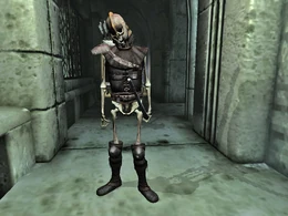 Skeleton | Nehrim Wiki | Fandom
