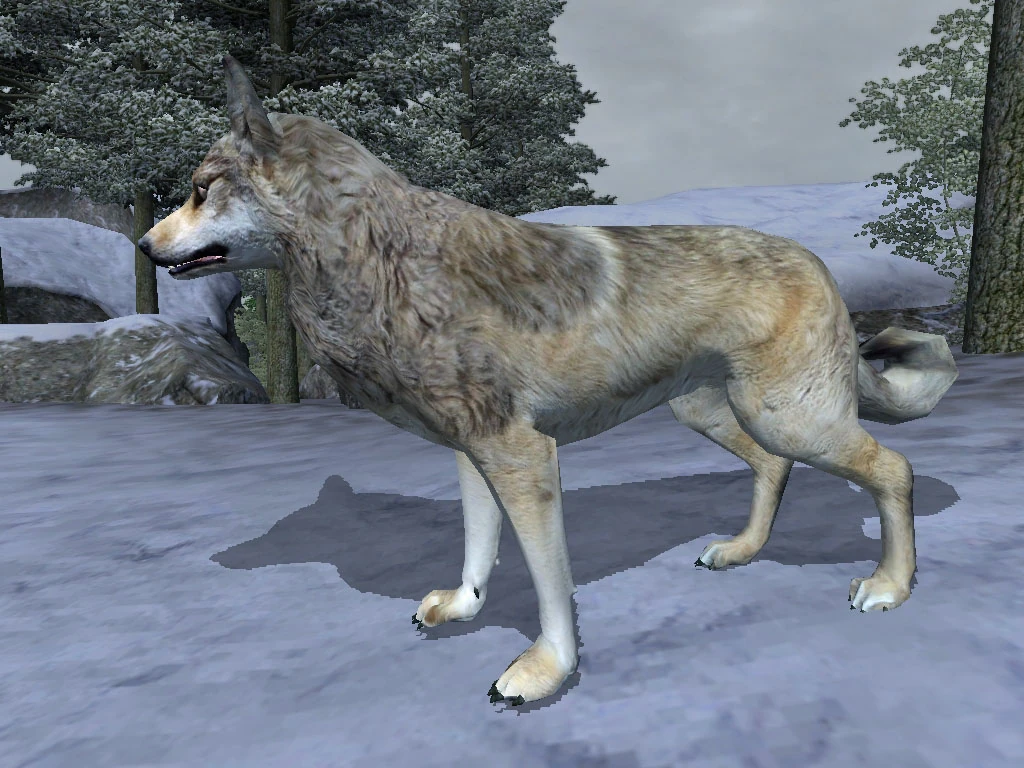 Frost Wolf | Nehrim Wiki | Fandom
