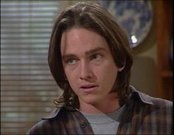 Darren Stark - List of appearances | Neighbours Soap Opera Wiki | Fandom