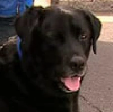 Jake | Neighbours Soap Opera Wiki | Fandom