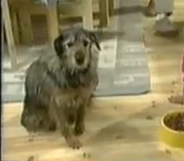 Billy | Neighbours Soap Opera Wiki | Fandom