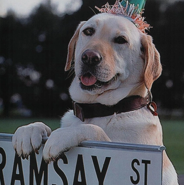 Bouncer - List of appearances | Neighbours Soap Opera Wiki | Fandom