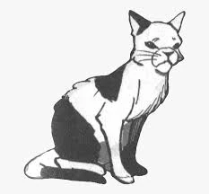 Queen | Neko 8 kittens Wiki | Fandom