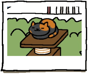 Bandit | Wikia Neko Atsume | Fandom
